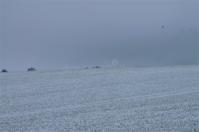 Shimpling Suffolk in the Snow Stock Photo - Image of suffolk, shimpling ...