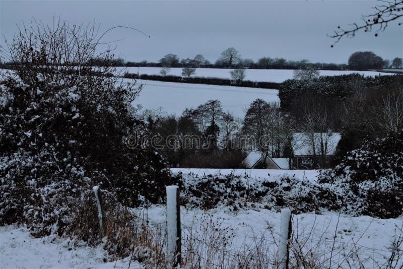 Shimpling Suffolk in the Snow Stock Photo - Image of shimpling, field ...