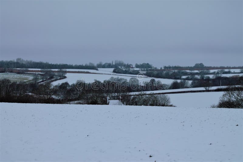 Shimpling Suffolk in the Snow Stock Photo - Image of woods, snowflake ...