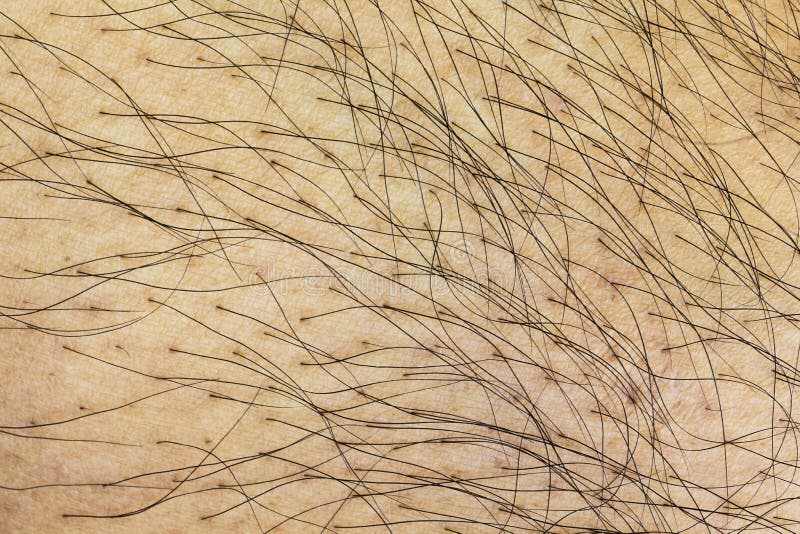 Shin hair stock photo. Image of texture, hairy, skin - 47345366