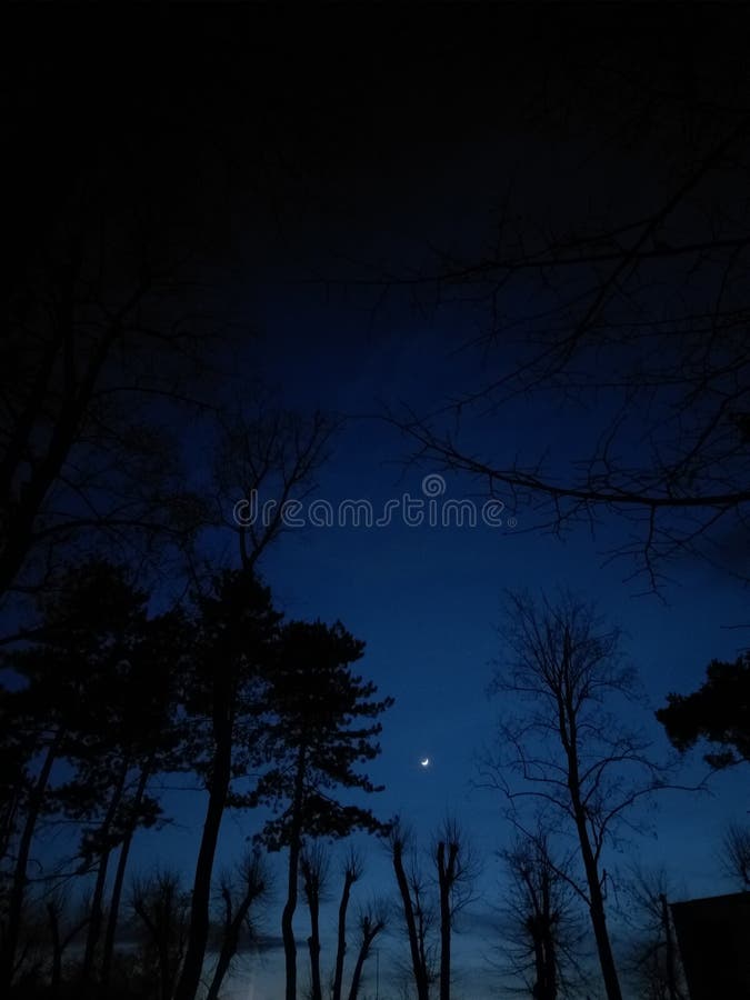 Shine of the moon stock photo. Image of night, sunlight - 178214442