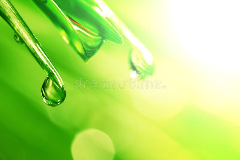 Shine water drop stock image. Image of beautiful, clean - 8921669