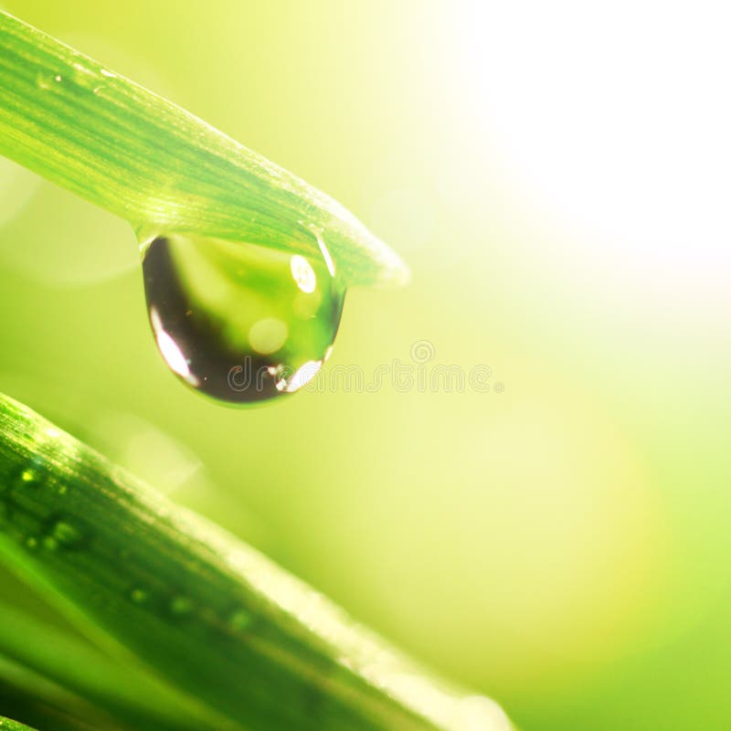 Shine water drop stock photo. Image of bright, close - 12787842