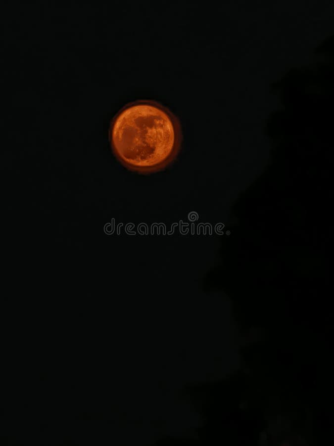 Shineing moon like a sun stock image. Image of shineing - 331615899