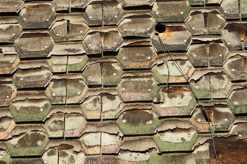 Shingled Wall Picture. Image: 7981662