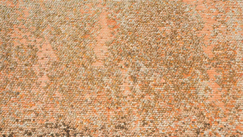 Shingles Pattern on a Historic Nbuilding Stock Photo - Image of orange ...