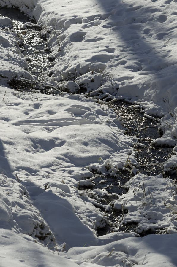 Shining Brook in Early Spring Stock Photo - Image of brook, natural ...