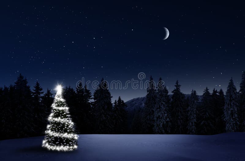 Shining Christmas Tree in a Snowy Winter Forest Stock Image - Image of ... Shining Christmas Tree in a Snowy Winter Forest Stock Image - Image of ...