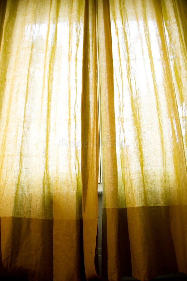 Sun Shining through a Curtain of Bamboos Stock Image - Image of filter ...