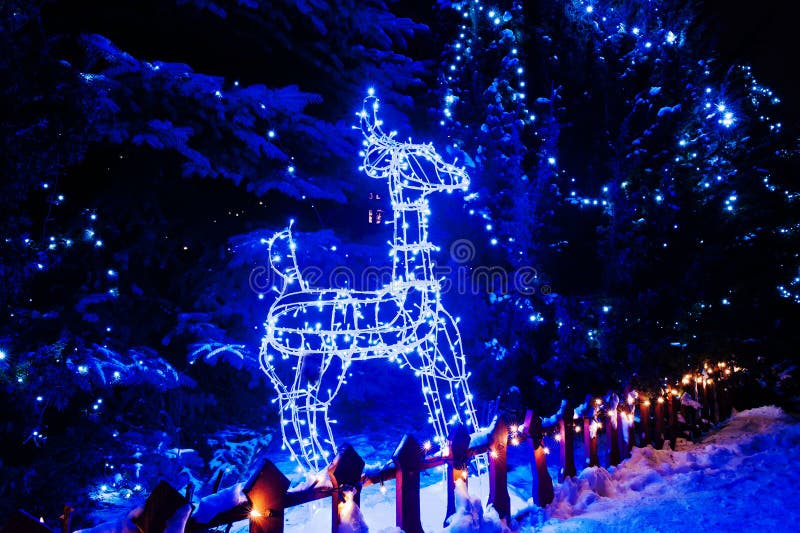Shining Deer of Blue Ligts. Stock Image - Image of night, evening: 65425511