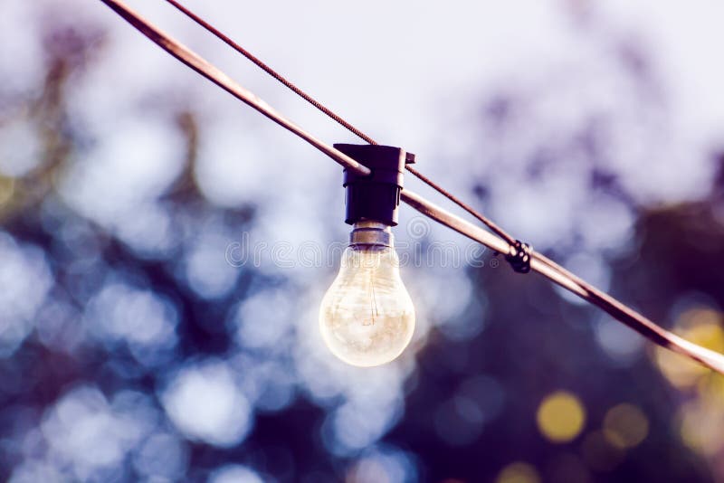 Shining light bulb stock photo. Image of efficient, idea - 209821796