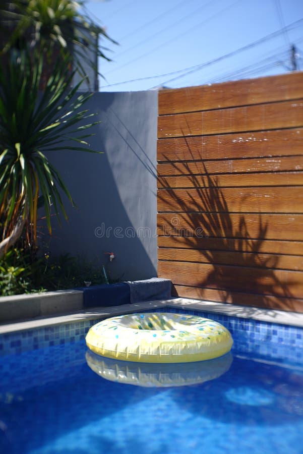 430 Pool Floaties Stock Photos - Free & Royalty-Free Stock Photos from ...