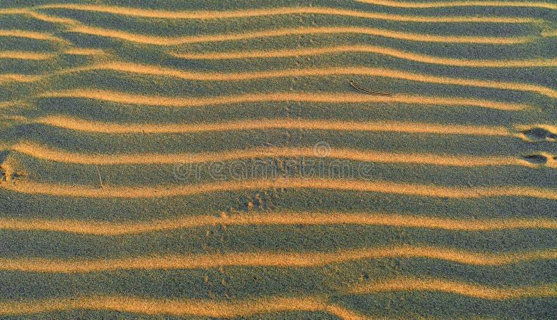 Golden Light on the Sand Dunes Stock Photo - Image of wallpaper ...