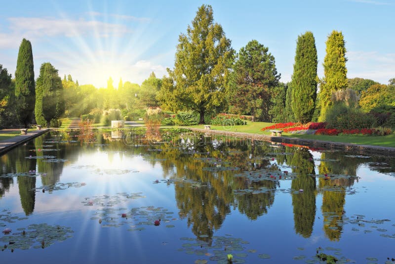 Shining Sharp Rays of the Sun Stock Photo - Image of blue, plant: 27125208