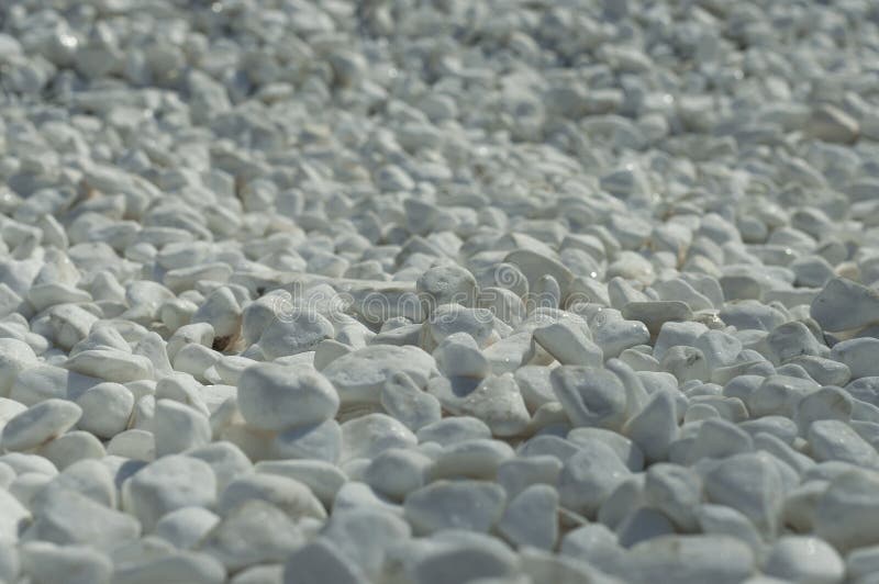 Shining Smooth Natural White Stones for Use As Background. Stock Image ...