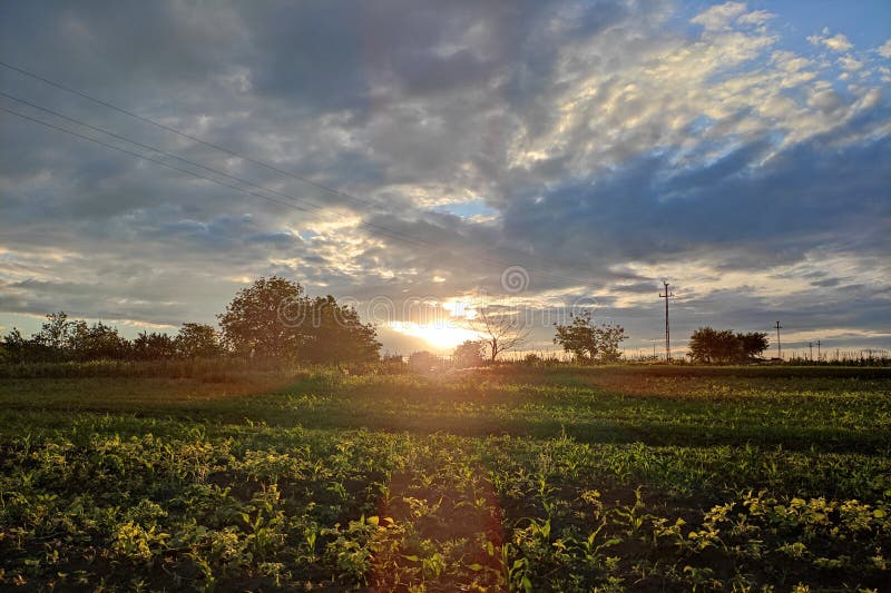 You are Nice in Such, a Way As You are Stock Photo - Image of ...