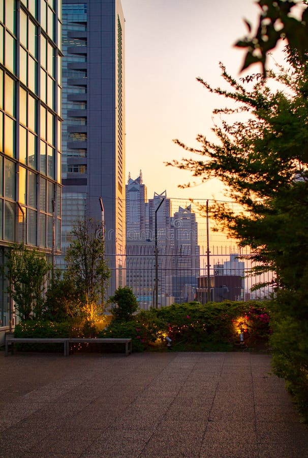 Shinjuku Rooftop View stock photo. Image of city, building - 71975582