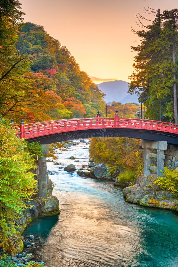 Foliage in Nikko stock image. Image of japan, nature - 32630389