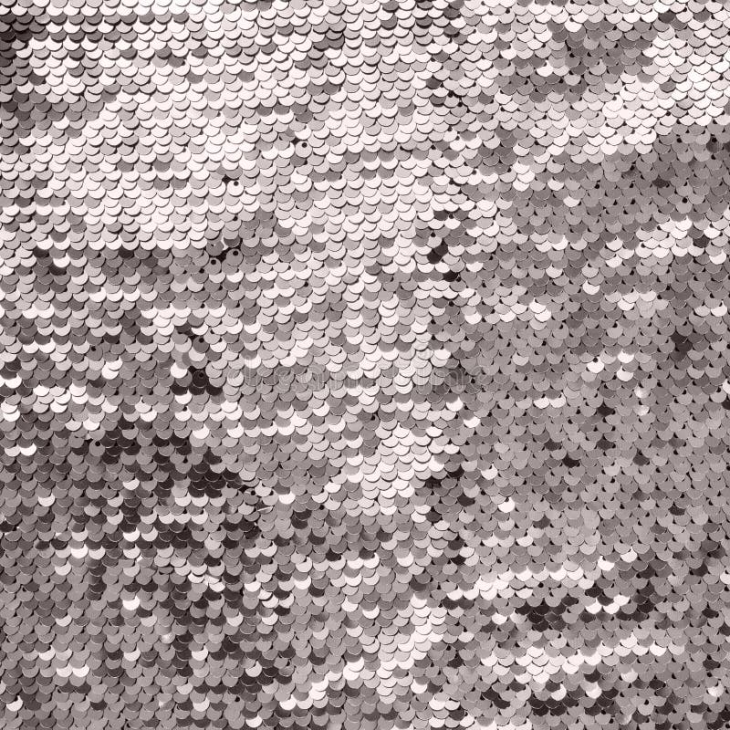 Silver Sequins Fabric stock image. Image of paillettes - 14349395