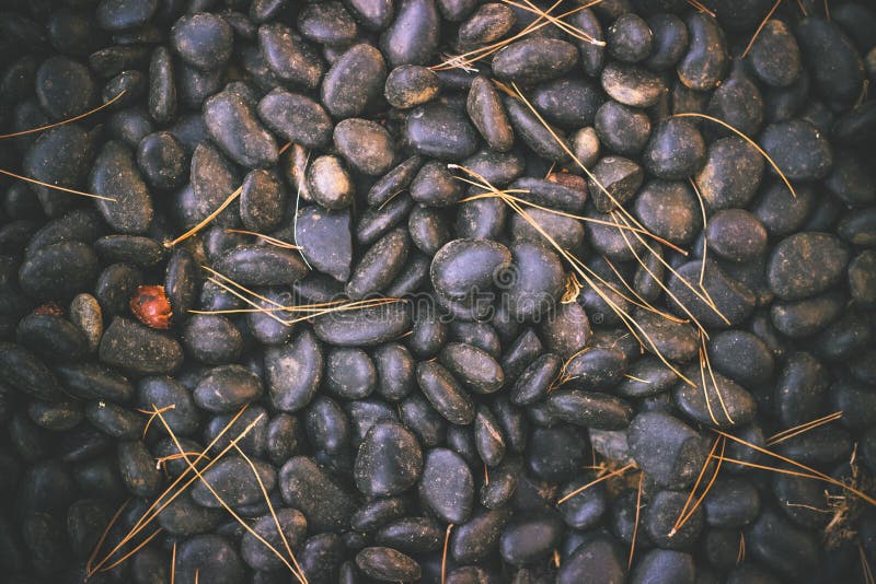 Black Pebbles; Beautiful Texture Background Stock Image - Image of ...