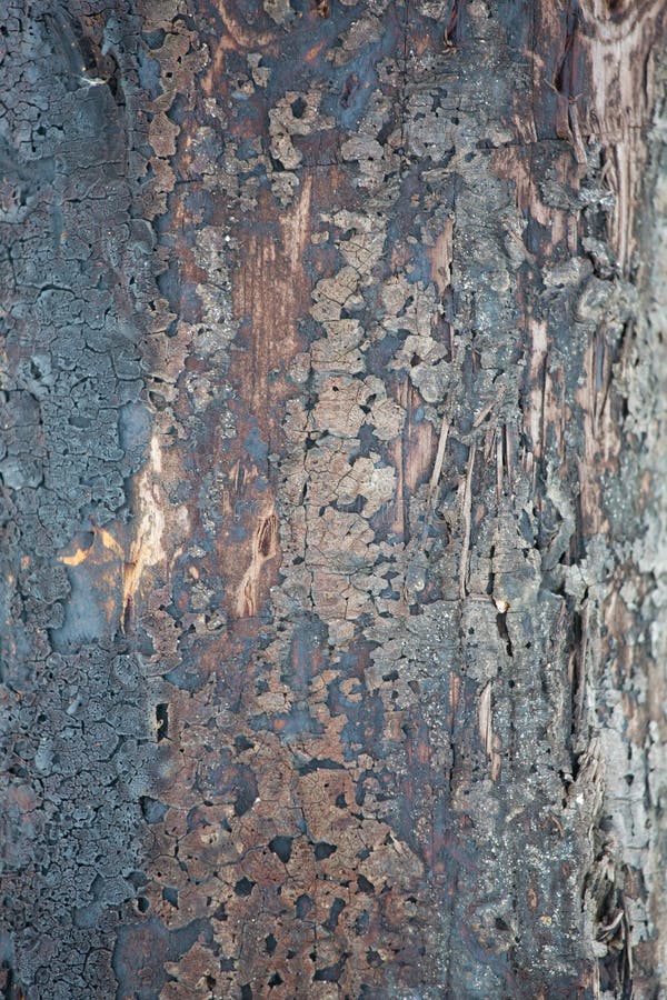 Shiny Brushed Silver Metal Surface Stock Photo - Image of metallic ...