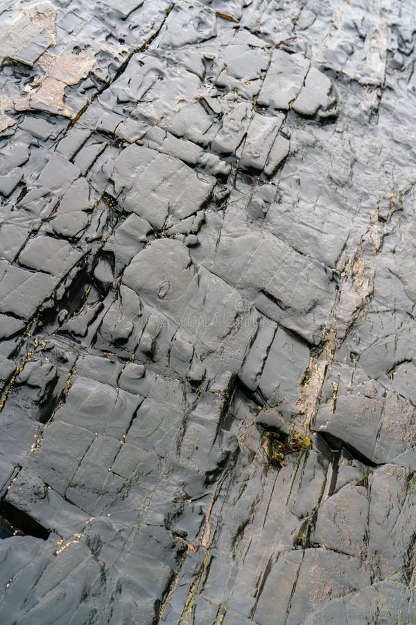 Shiny Colorful Wet Rock a on Low Tide Stock Image - Image of beauty ...