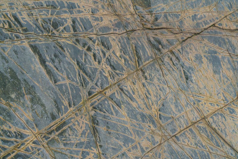 Shiny Colorful Wet Rock a on Low Tide Stock Photo - Image of colorful ...