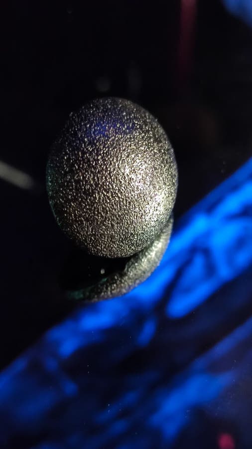 Shiny Ear Rings on a Reflective Surface Stock Image - Image of jewel ...