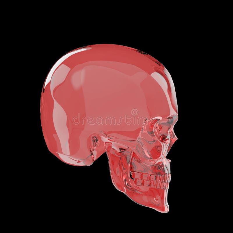 Shiny Glossy Dark Glass Skul Render Isolated on Black Background Side ...