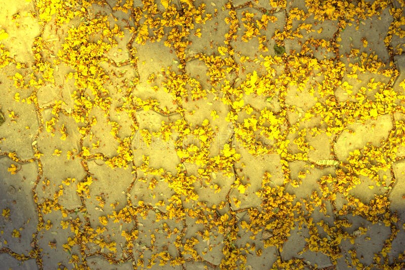 Shiny Gold Brick Texture,abstract Background,golden Pattern Stock Image ...