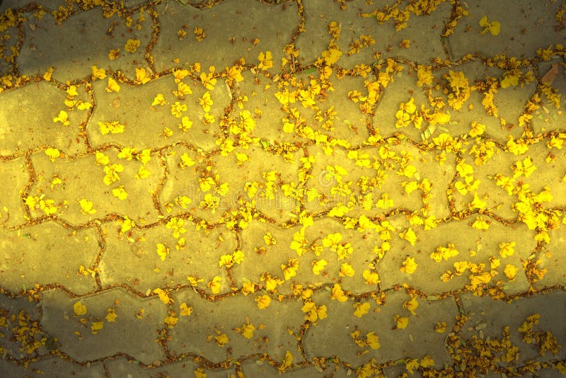 Shiny Gold Brick Texture,abstract Background,golden Pattern Stock Image ...