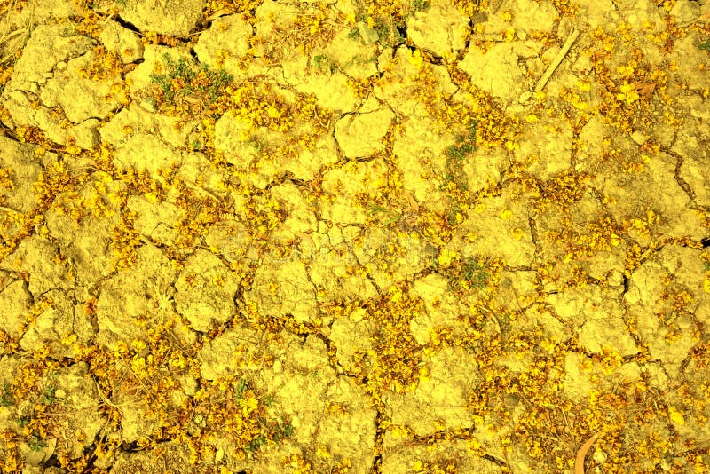 Shiny Gold Ground Texture,abstract Background,golden Pattern Stock ...