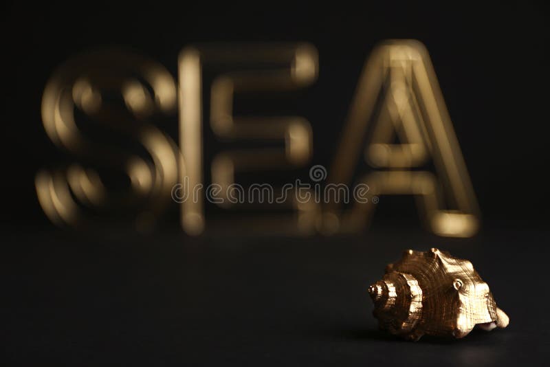 Shiny Gold Seashell on Black Background Stock Photo - Image of dark ...