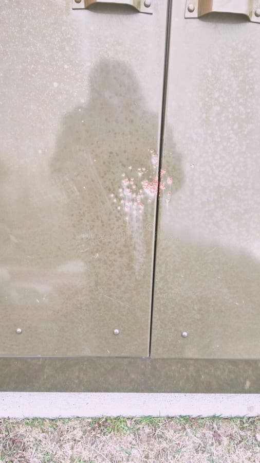 A Shiny Green Garbage Bin in the Park Stock Photo - Image of shiny ...