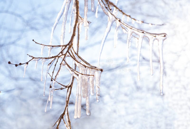 It& x27;s a shiny days stock image. Image of good - 263168189