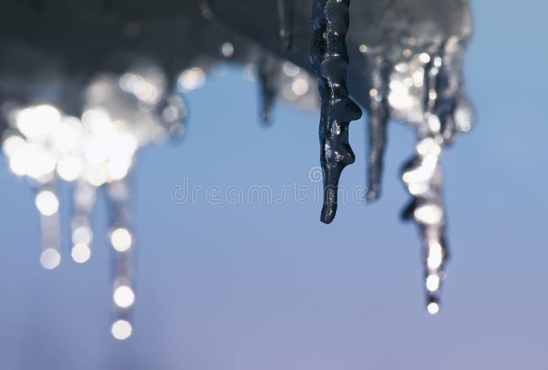 Shiny Icicles Hanging from the Roof in the Spring and Stock Photo ...