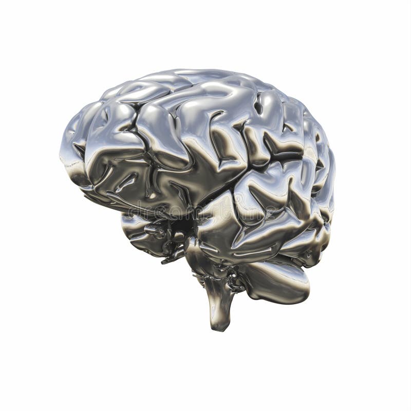 Metallic Model Of Human Brain Stock Illustration - Illustration of ...