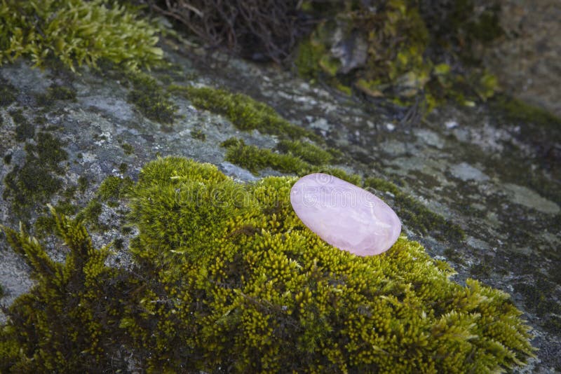 Shiny pink rock on moss stock image. Image of outdoor - 243671549