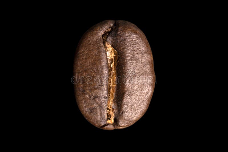 Shiny Premium Roasted Coffee Bean on Black Background Stock Image ...