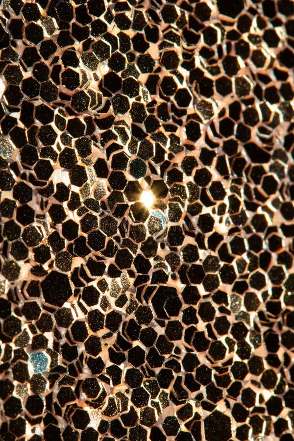 Shiny Real Glitter Backdrop with Sparkling Texture Stock Photo - Image ...