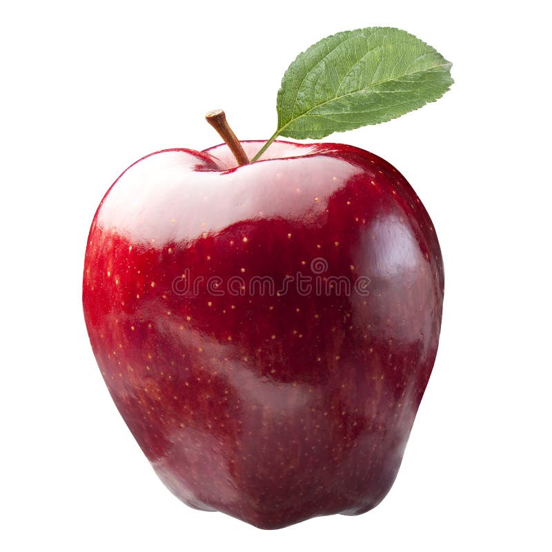 Shiny Red Apple Leaf Isolated Stock Photo - Image of refreshment ...