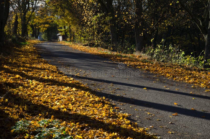 Shiny road stock photo. Image of november, sweden, rural - 62231370