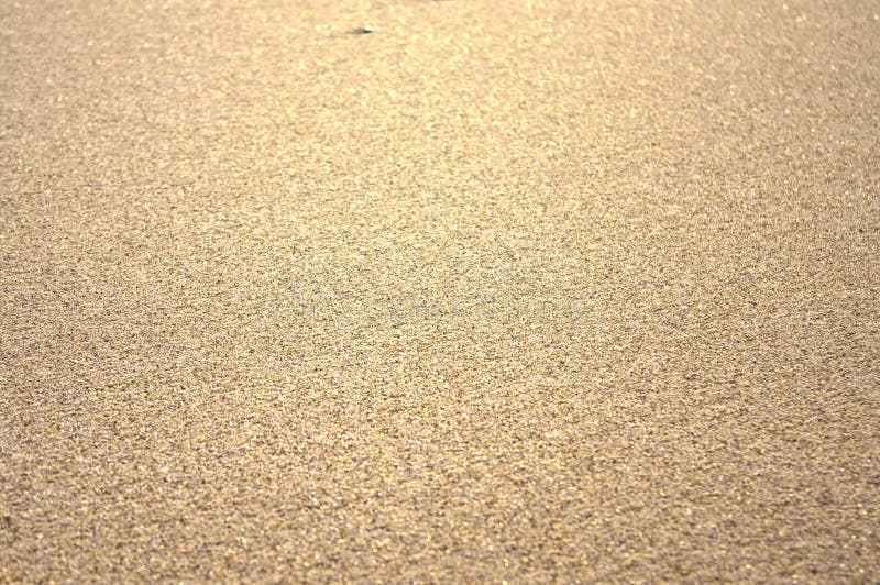 Shiny Sand Texture Stock Photos - Image: 31598003