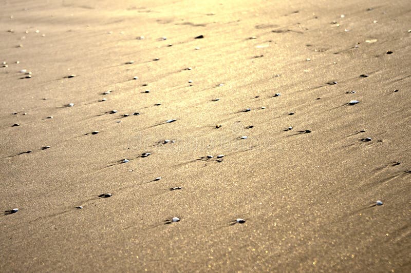 Shiny Sand texture stock image. Image of ocean, backround - 31598187