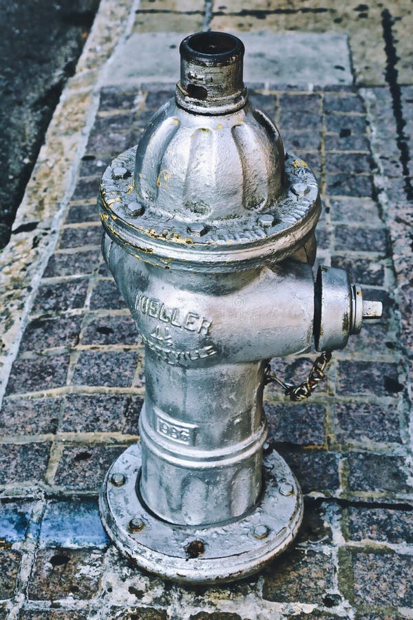 Debra Tosca (Debratos) - Photographer profile