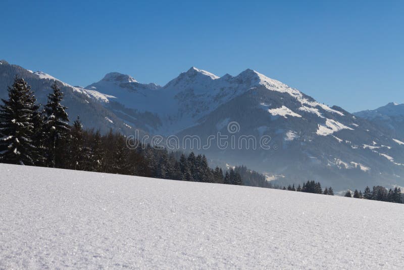 Shiny Snow with Shadow from Trees Stock Image - Image of frozen, shadow ...