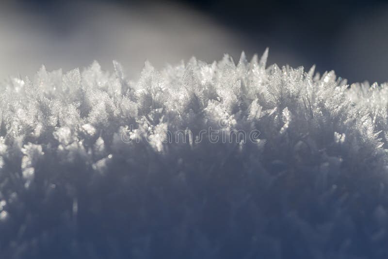 Shiny Snow with Shadow from Trees Stock Image - Image of frozen, shadow ...