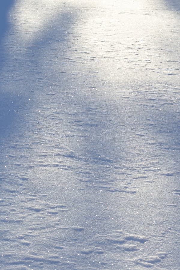 Snow and Shadow stock photo. Image of chilly, snow, morning - 413166