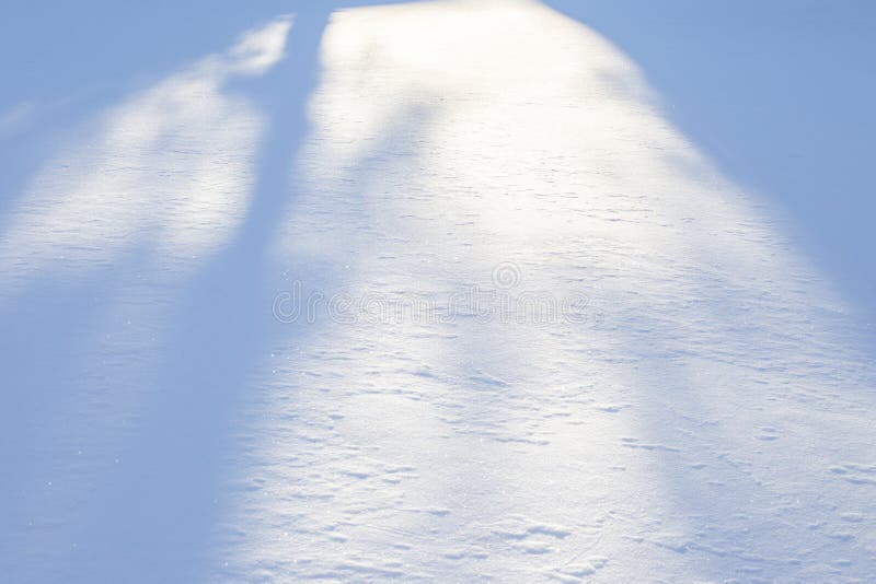 Snow and Shadow stock photo. Image of chilly, snow, morning - 413166