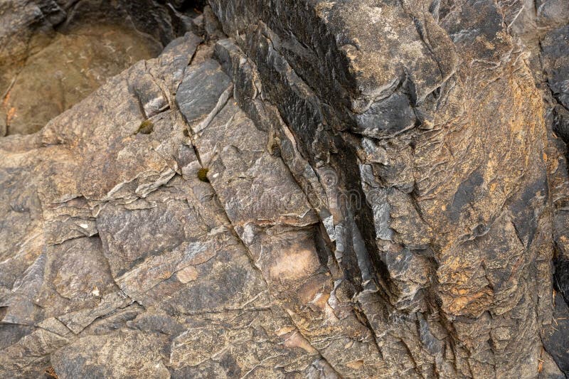 Shiny Texture of the Rocks Along Olympic Coast Stock Photo - Image of ...